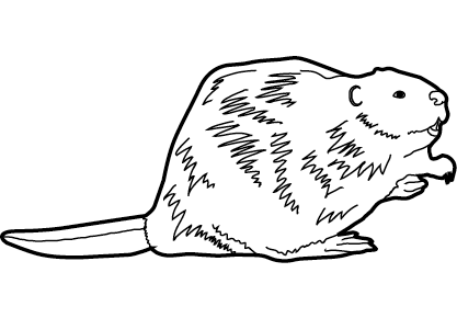 Art installation honours Dish With One Spoon Territory - Toronto Met ...