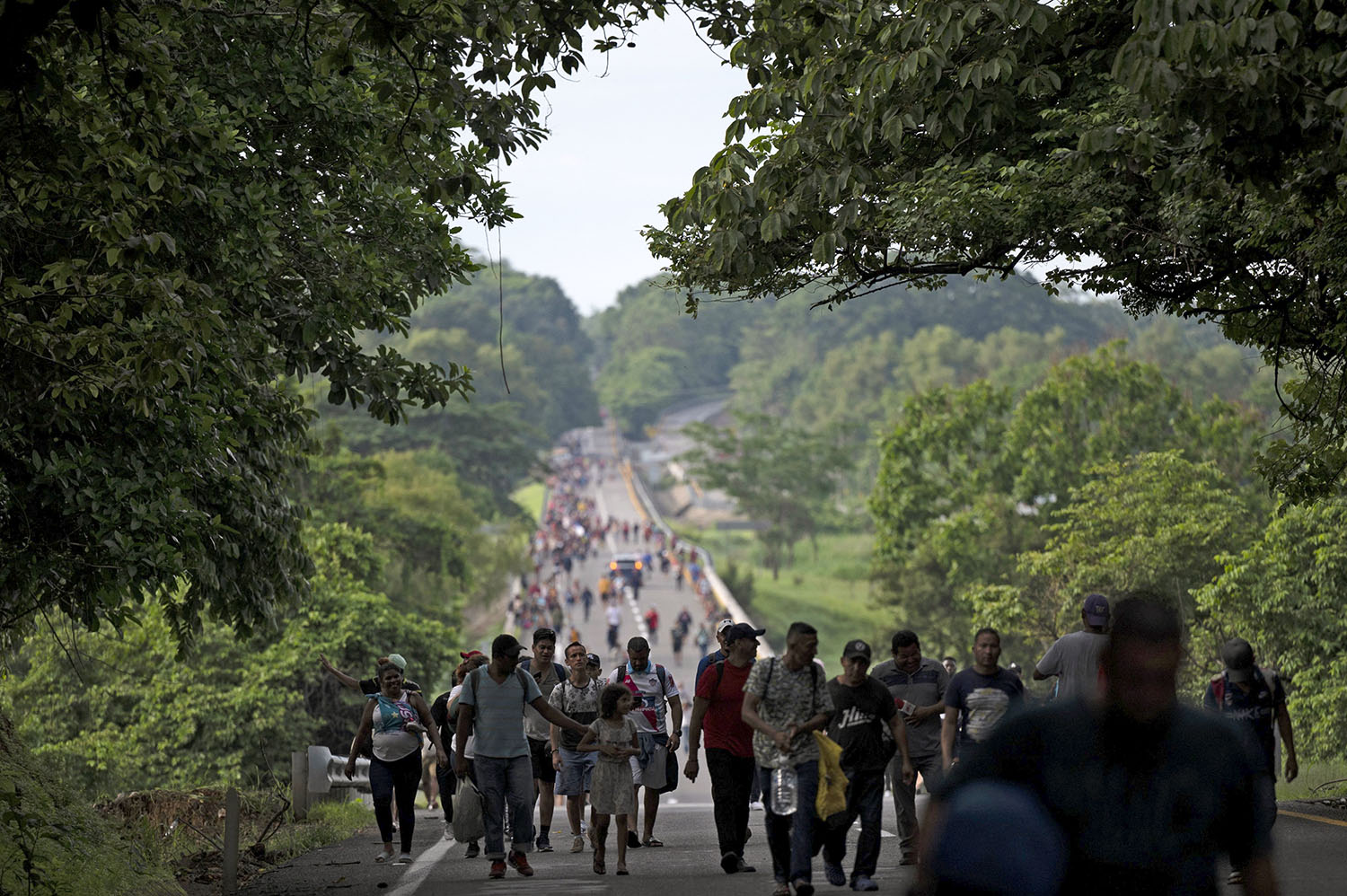 Unlocking the complexities of migration could help solve a challenging ...