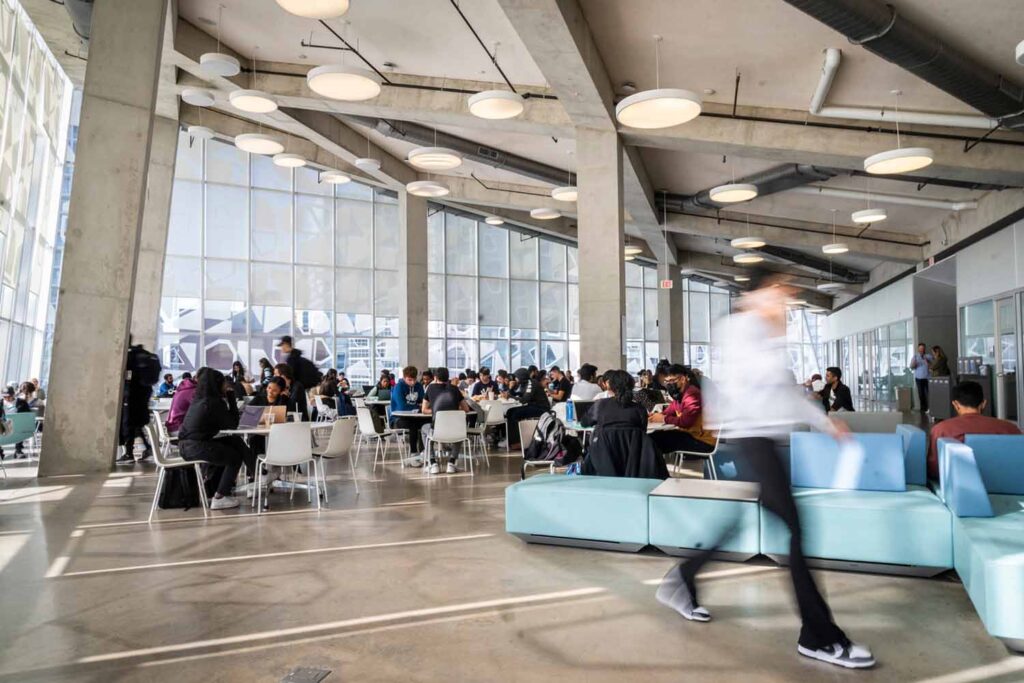 Graduation is just the beginning - continue your learning at TMU ...